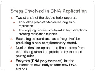 DNA Structure and Replication | PPTX