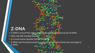 DNA STRUCTURE AND TYPES.pptx