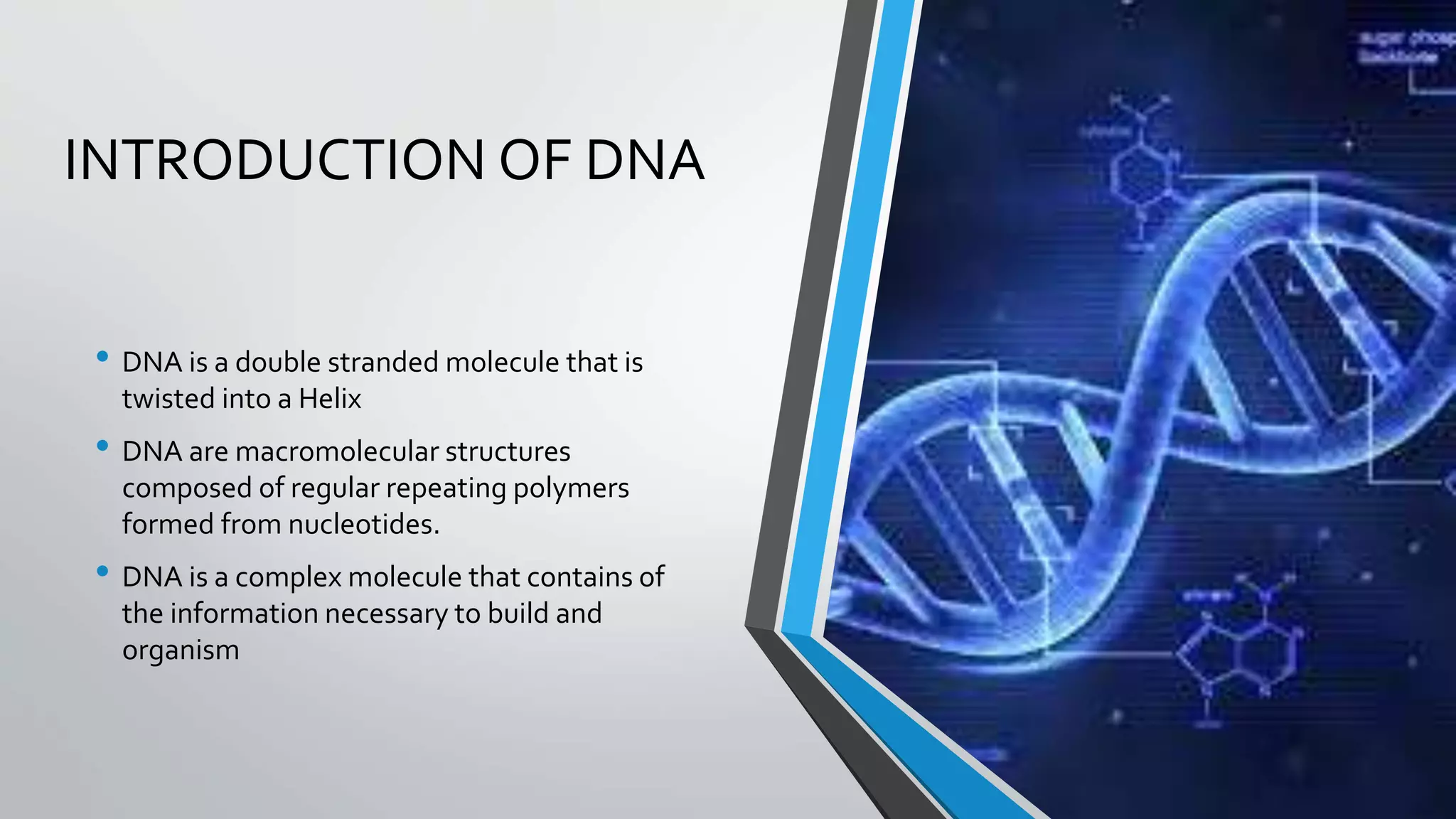DNA STRUCTURE AND TYPES .pptx