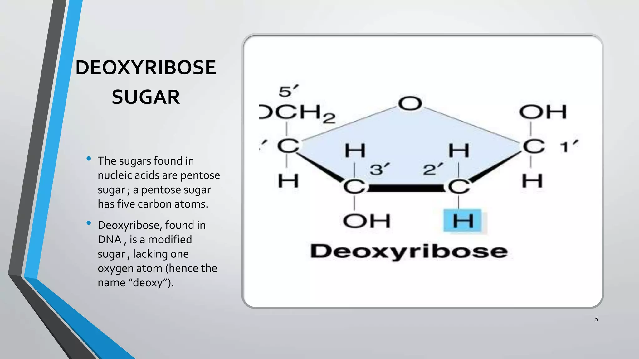 DNA STRUCTURE AND TYPES .pptx