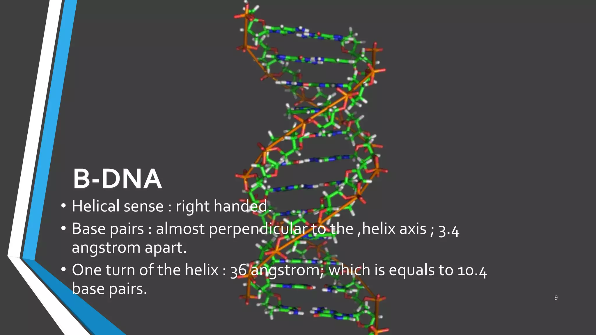 DNA STRUCTURE AND TYPES .pptx