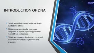DNA STRUCTURE AND TYPES .pptx