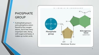 DNA STRUCTURE AND TYPES .pptx