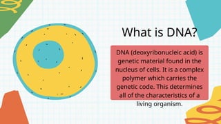 DNA Structure Biology Presentation in a Colorful Bold Style.pptx