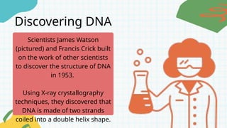 DNA Structure Biology Presentation in a Colorful Bold Style.pptx