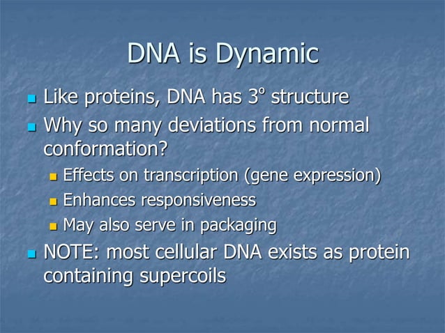 DNA STRUCTURE Lecture.ppt