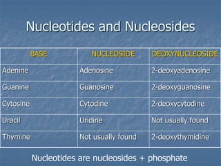 DNA STRUCTURE Lecture.ppt