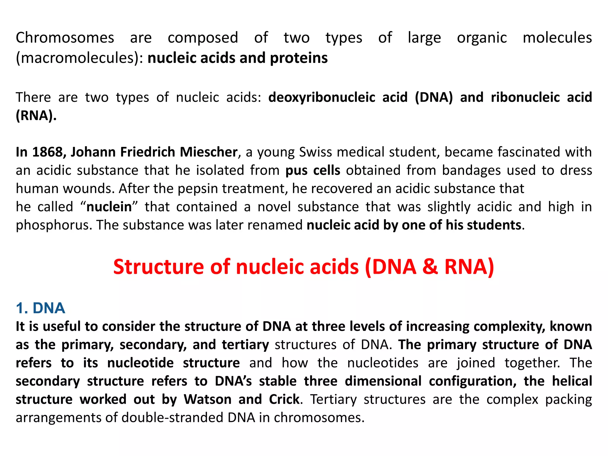 DNA replication.pdf