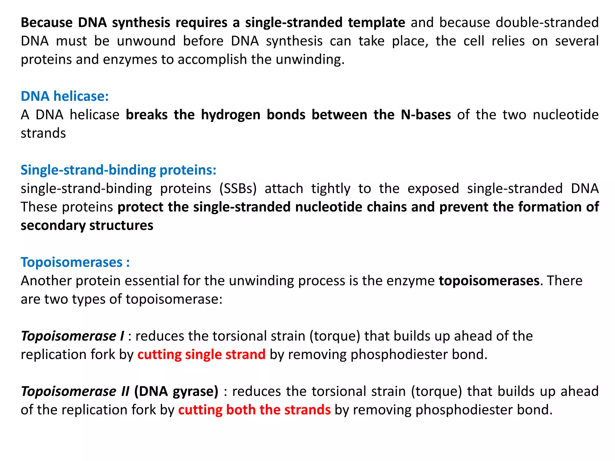 DNA replication.pdf