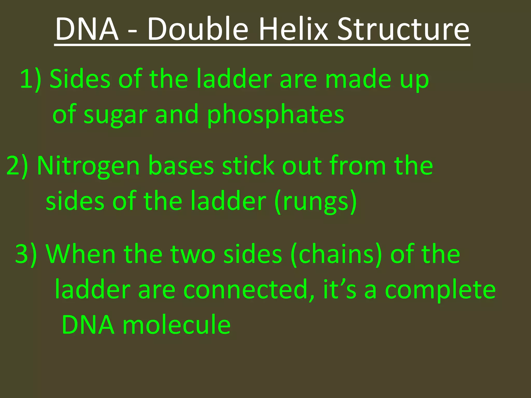 Dna structure notes | PPT