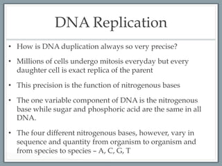 Dna Structure Replication Pdf