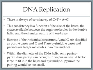 Dna Structure Replication Pdf