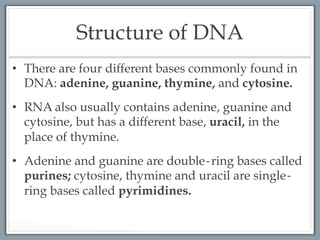 Dna Structure Replication Pdf
