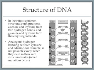 Dna Structure Replication Pdf