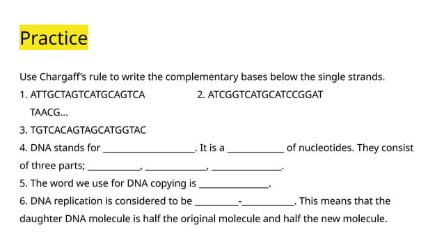 High School Biology DNA Structure & Replication Notes.pptx