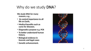 DNA STRUCTURE, REPLICATION & REPAIR.pptx