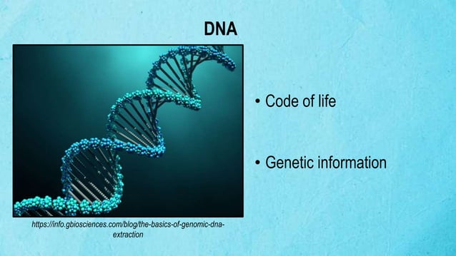 DNA Structure, Replication Variation -PPT.pptx