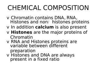 Dna structure sb | PDF