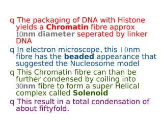 Dna structure sb | PDF