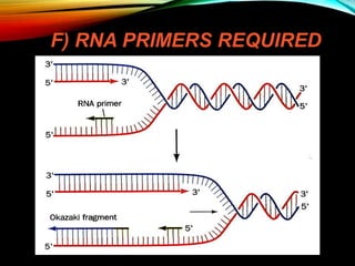 DNA strucutre and replication DNA strucutre and replication.ppt