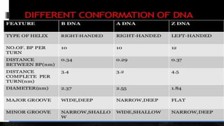 Dna complete information | PPT