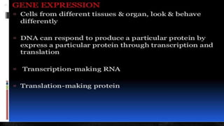 Dna complete information | PPT