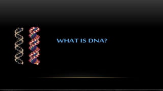 Dna complete information | PPT