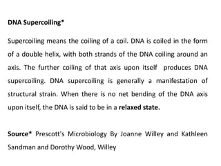 DNA Supercoiling.pptx