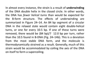 DNA Supercoiling.pptx