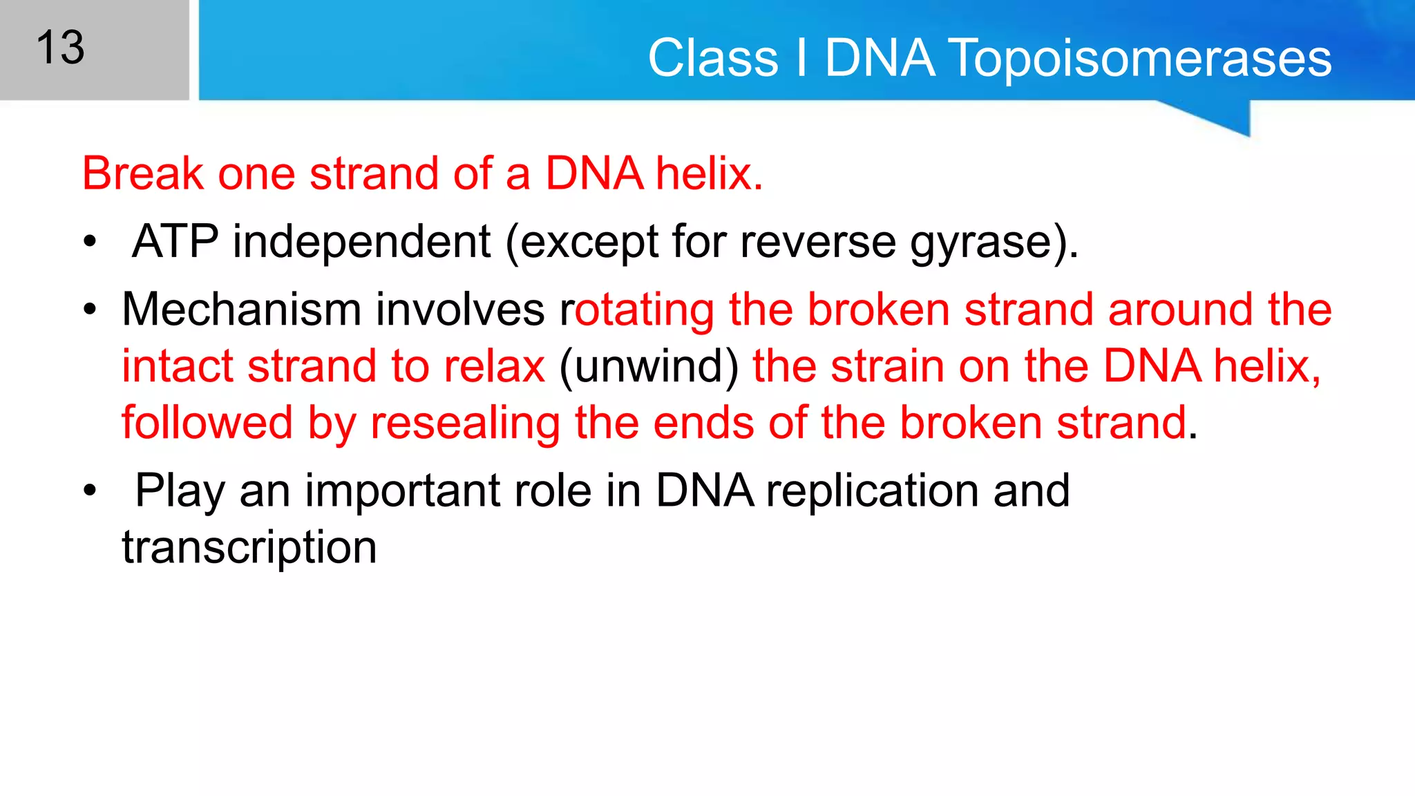 DNA Supercoiling | PPTX