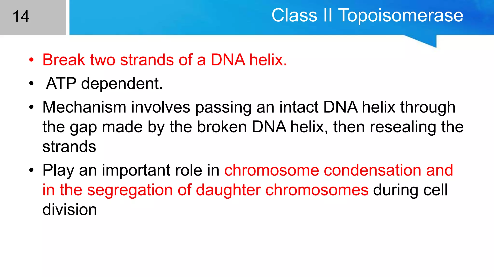 DNA Supercoiling | PPTX