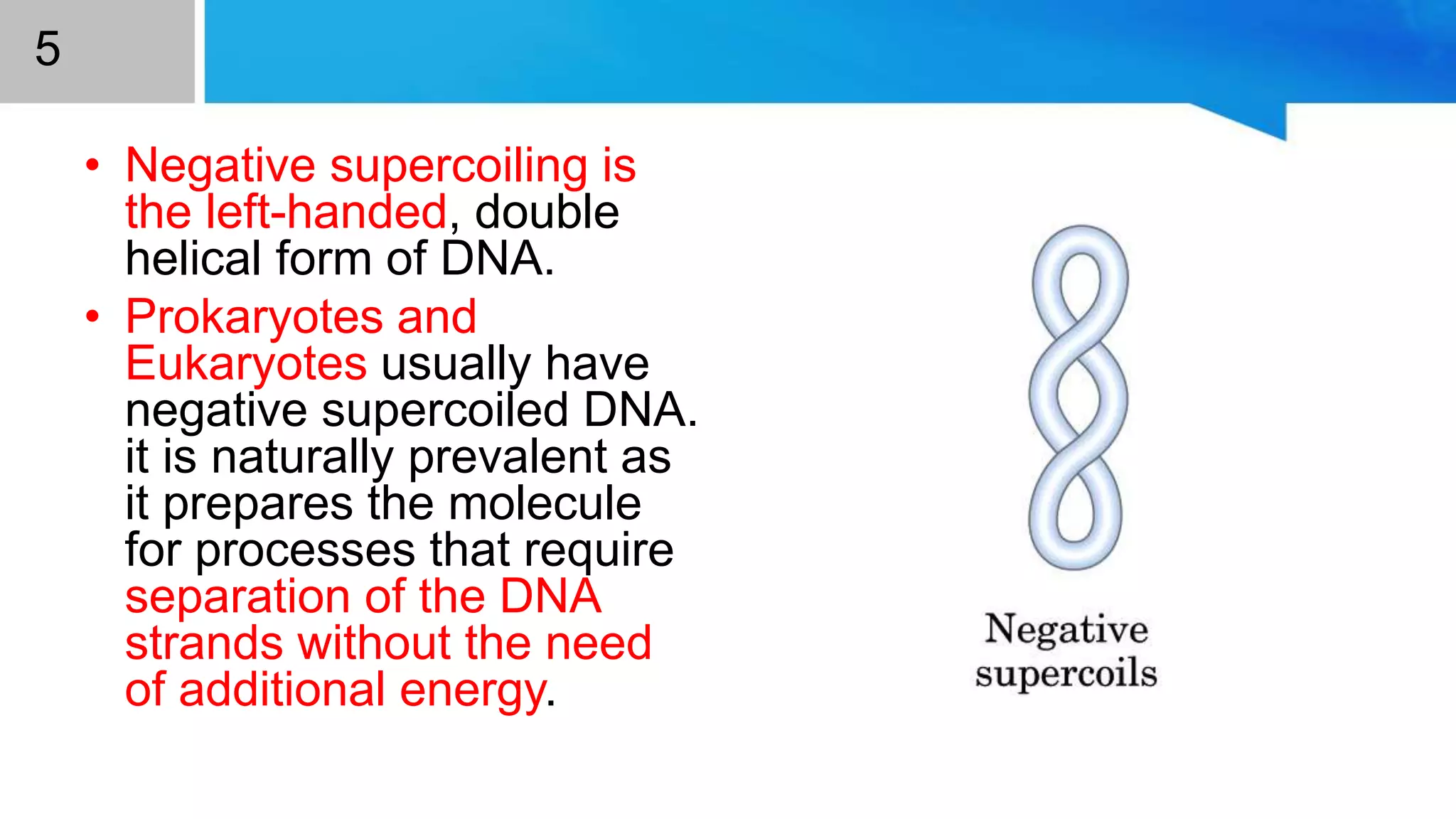 DNA Supercoiling | PPTX