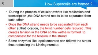 DNA Supercoiling | PPTX
