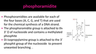 chemical synsis of Dna | PPTX