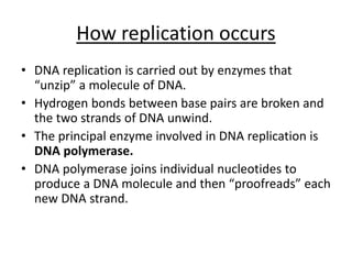 DNA Synthesis.pptx