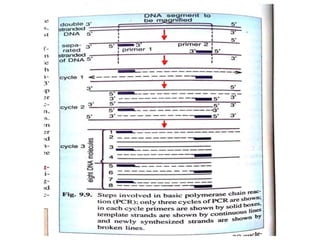 Dna synthesis & sequencing | PPTX