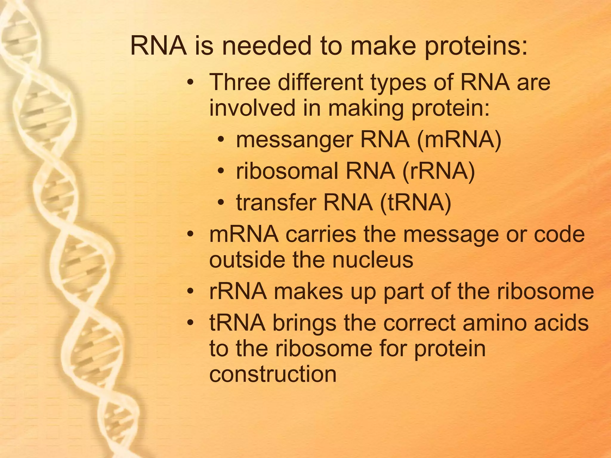 DNA for Middle School Science | PPT