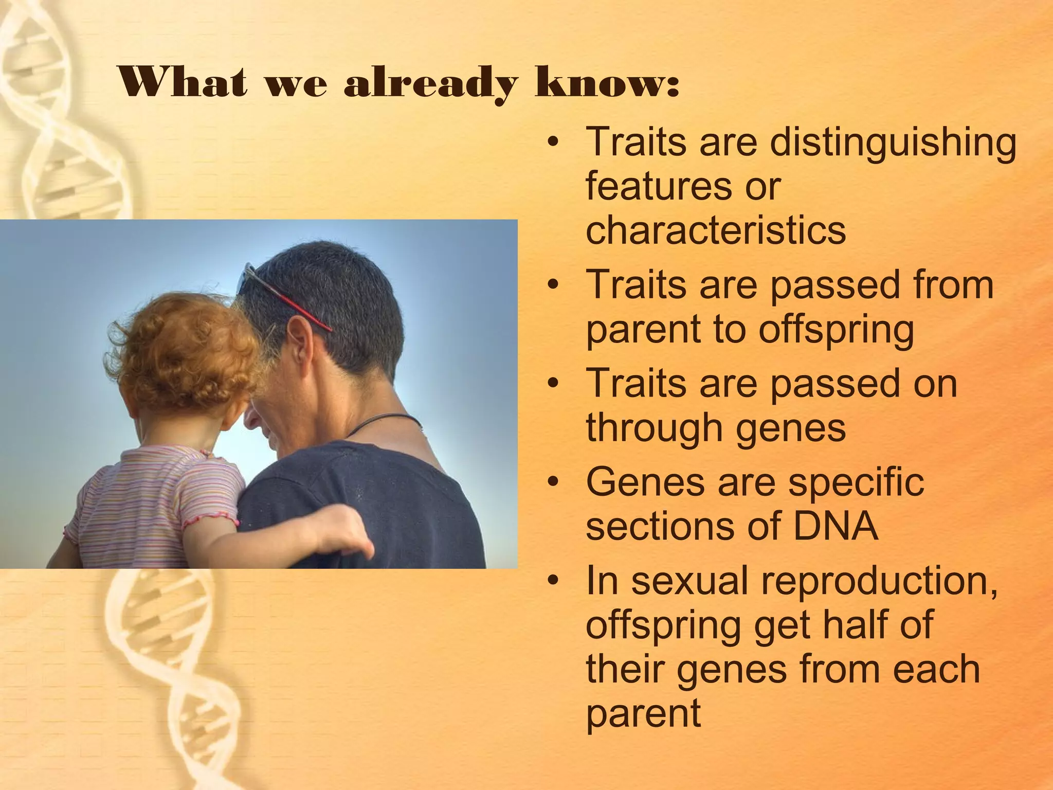 DNA for Middle School Science | PPT