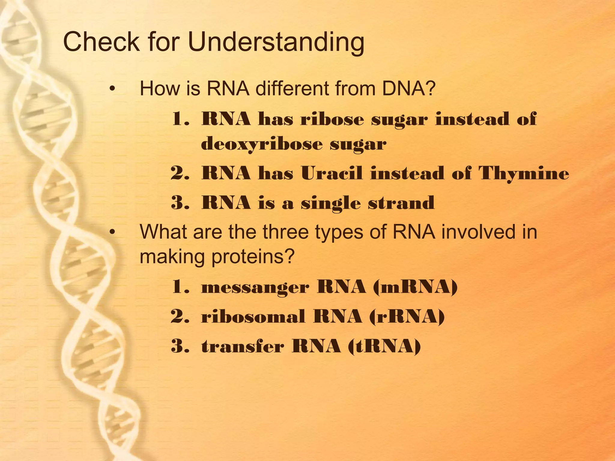 DNA for Middle School Science | PPT