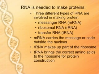 DNA for Middle School Science | PPT