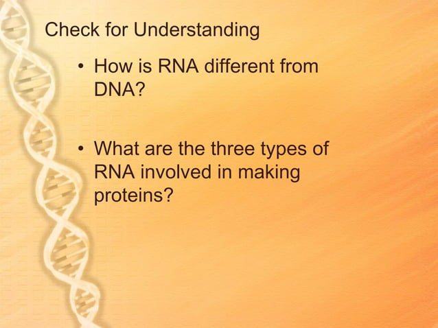DNA for Middle School Science | PPT