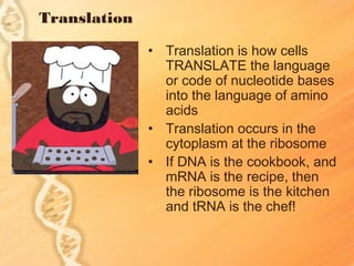 DNA for Middle School Science | PPT