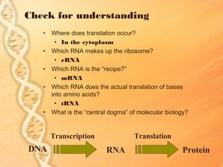 DNA for Middle School Science | PPT
