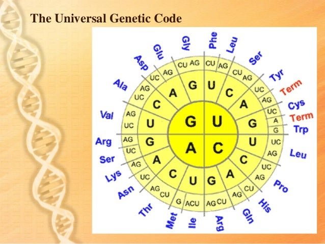 DNA for Middle School Science