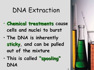 Dna technology | PPT | Genetics | Science