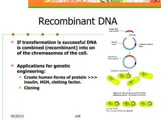 Dna technology 1 | PPT