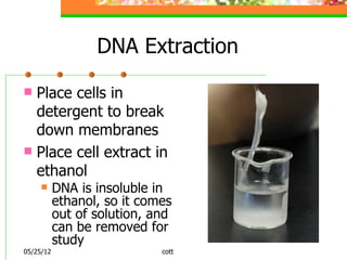 Dna technology 1 | PPT