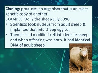 DNA Technology 2: Genetic Engineering | PPTX