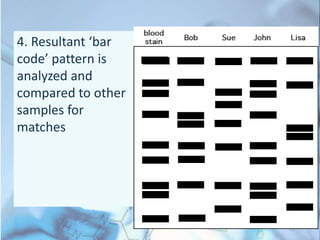 DNA Technology Notes | PPT