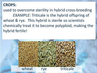 DNA Technology Notes | PPTX